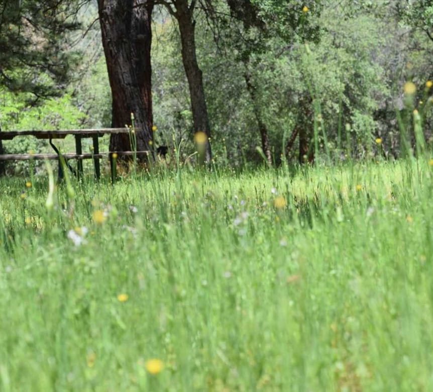 Basic Site | Horseshoe Bend Campground and Recreation Area | Merced ...